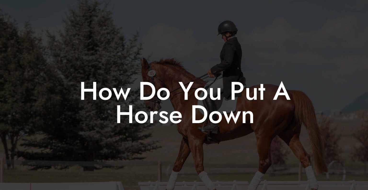 What Does It Mean When A Horse Casts - How To Own a Horse