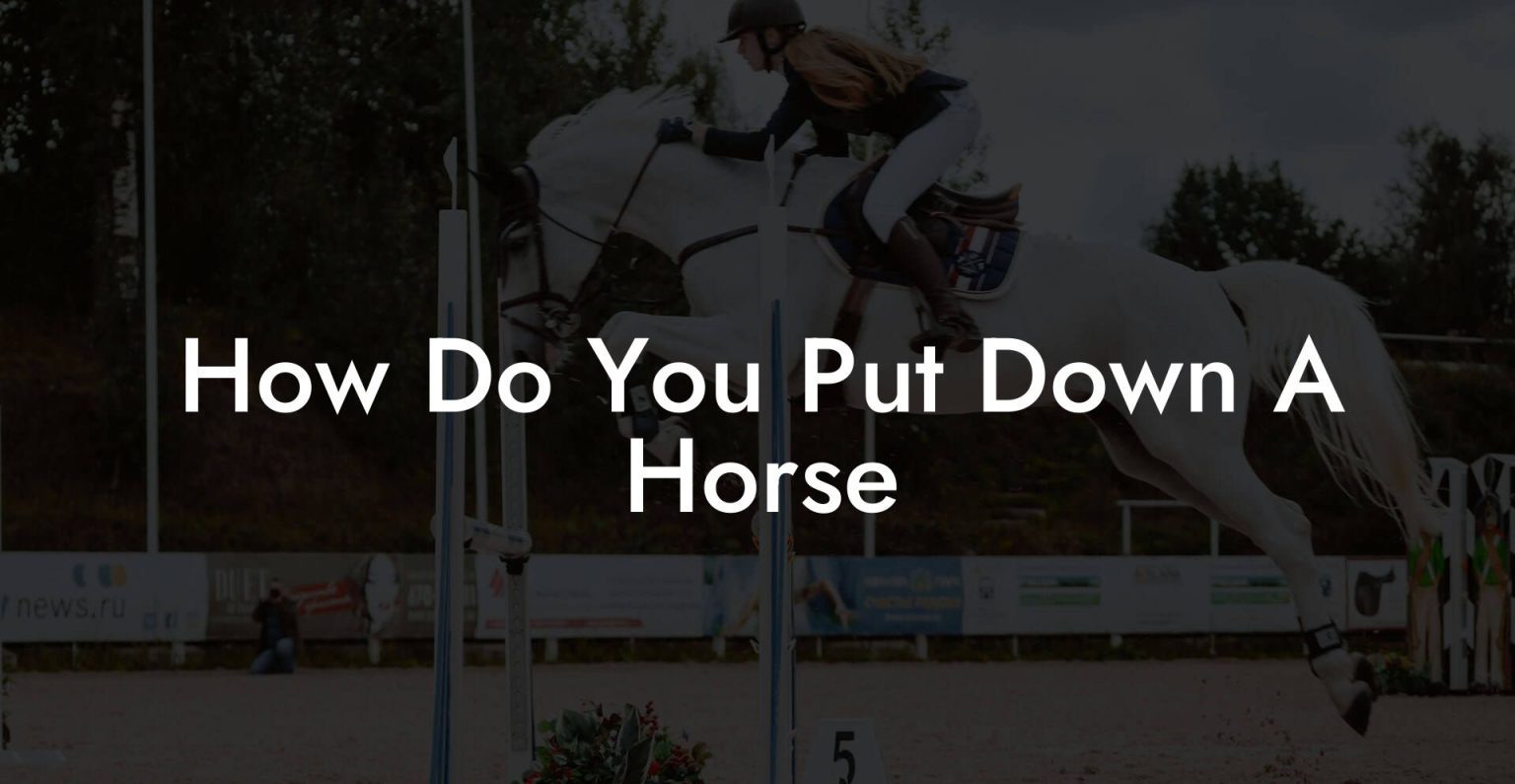 How Do You Put Down A Horse - How To Own a Horse
