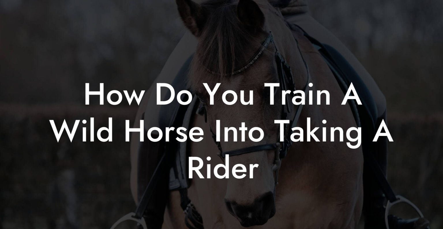 Horse Size For Rider Height - How To Own a Horse