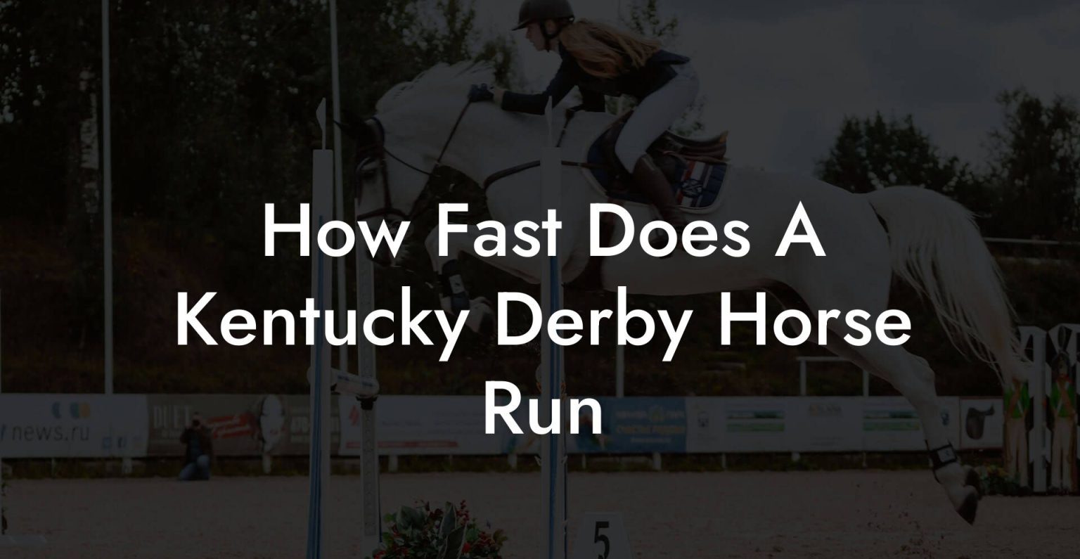 How Fast Does A Kentucky Derby Horse Run - How To Own a Horse