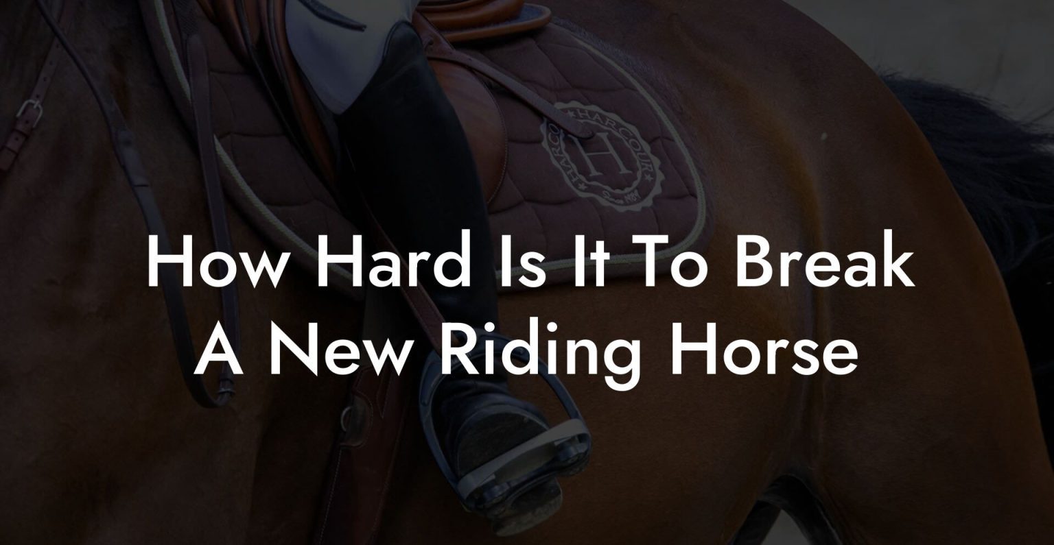 Raising Horses For Beginners - How To Own a Horse