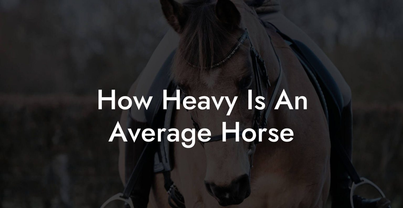 The Complete Guide To Owning Horses - How To Own a Horse