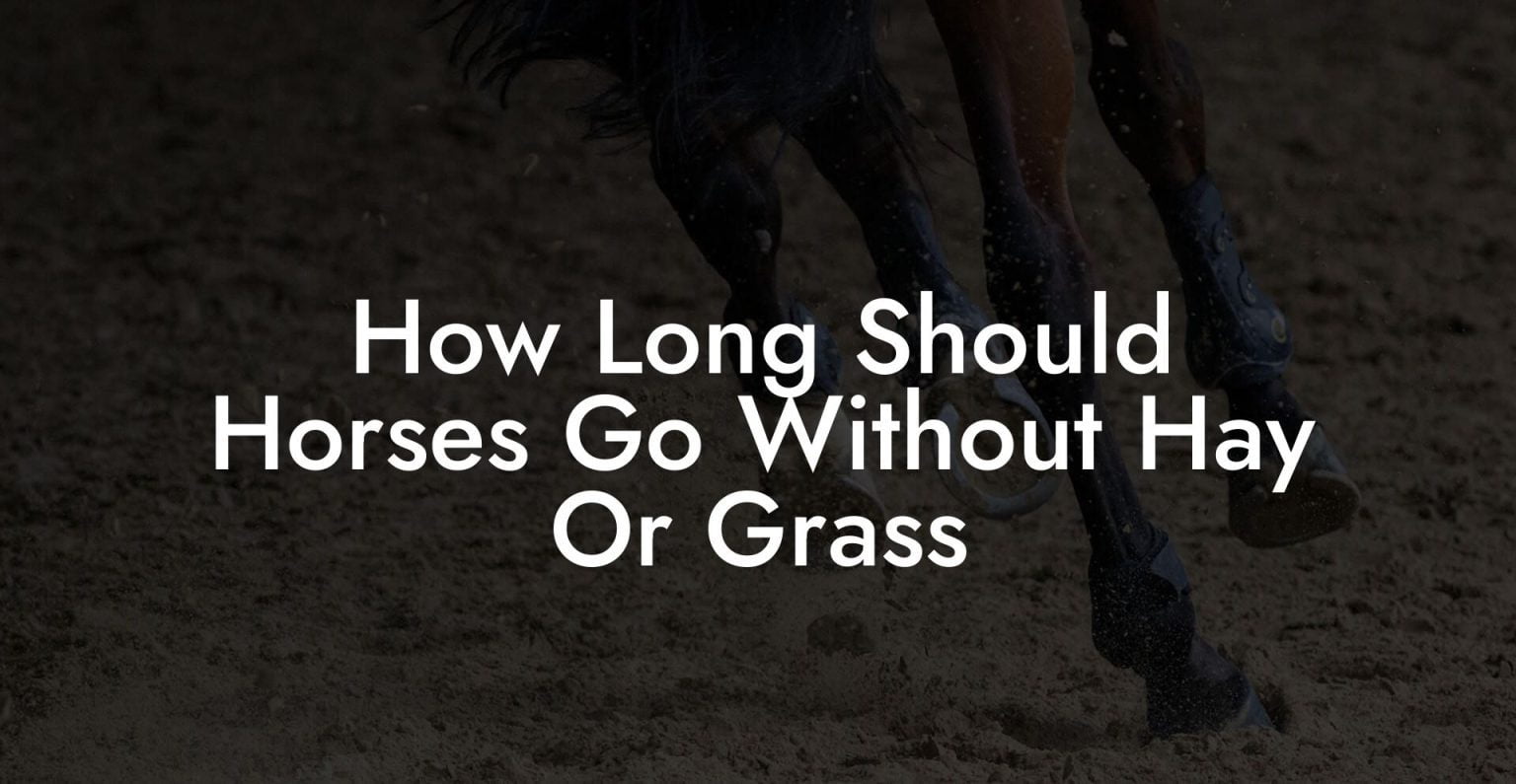 How Long Should Horses Go Without Hay Or Grass - How To Own a Horse