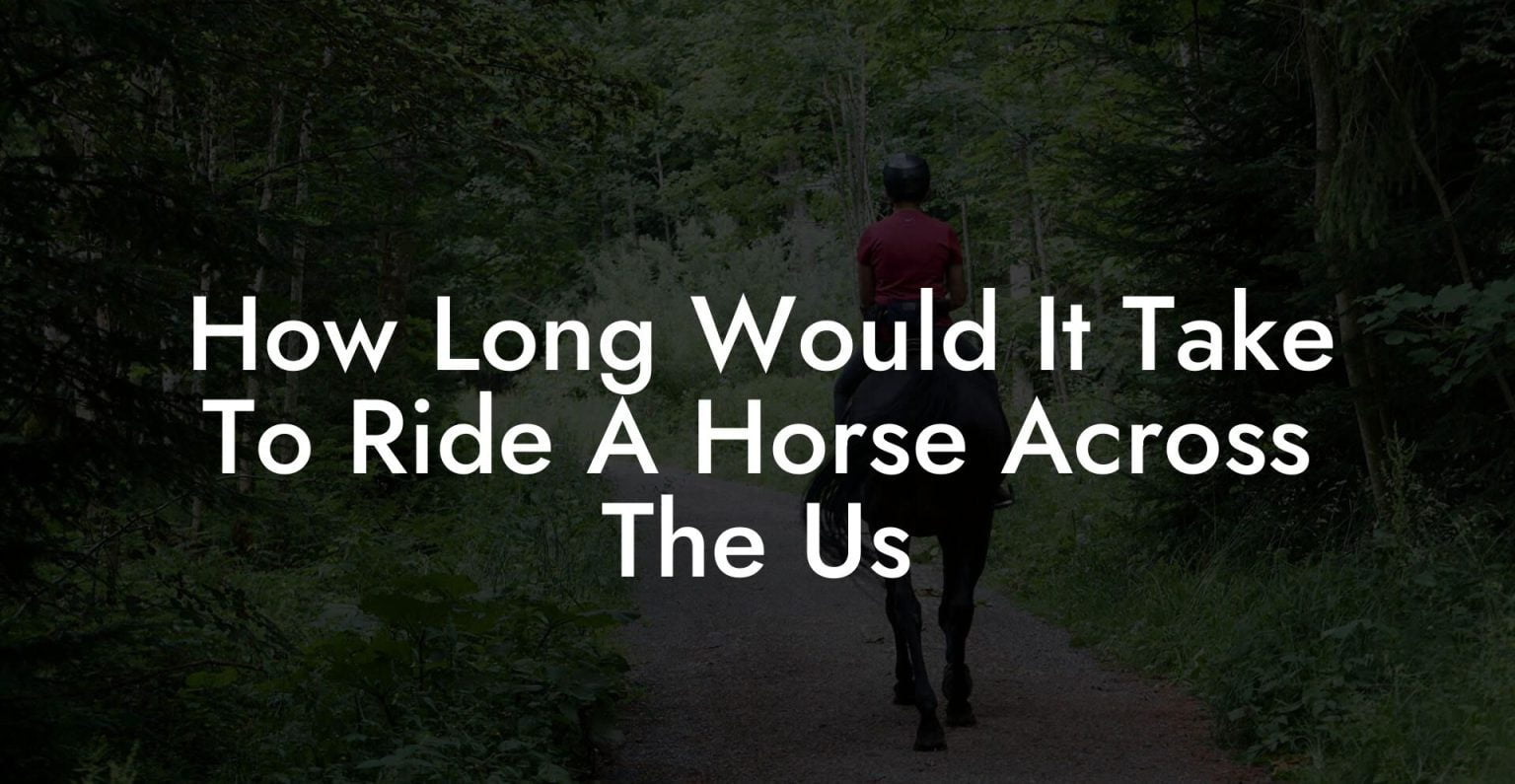 How Long Would It Take To Ride A Horse Across The Us - How To Own a Horse