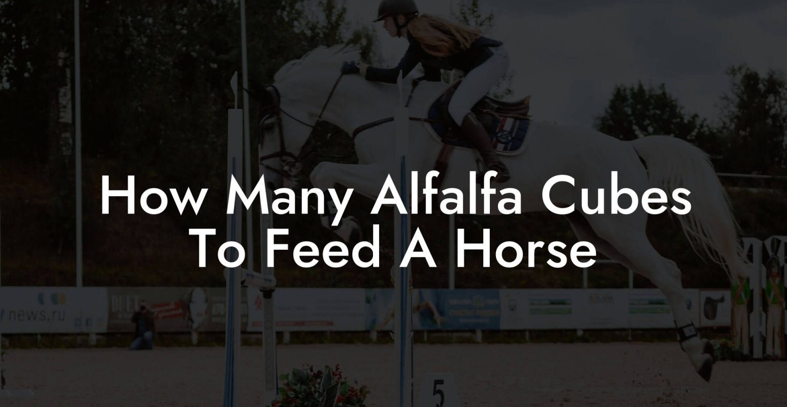 How Many Alfalfa Cubes To Feed A Horse - How To Own a Horse