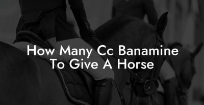 How Many Cc Banamine To Give A Horse - How To Own a Horse