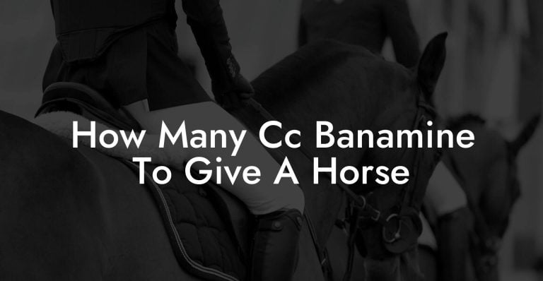 How Many Cc Banamine To Give A Horse - How To Own a Horse