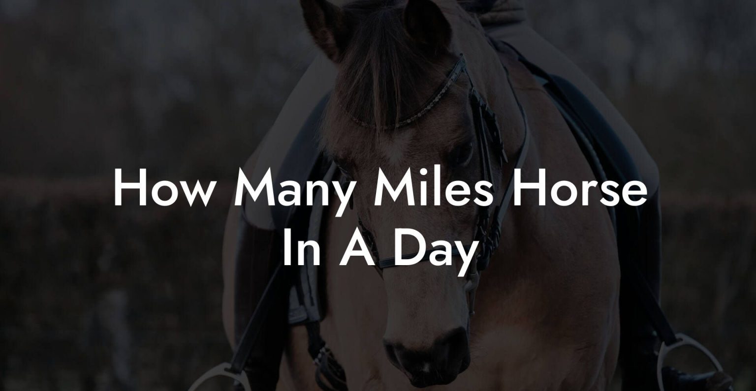 The Complete Guide To Owning Horses - How To Own a Horse