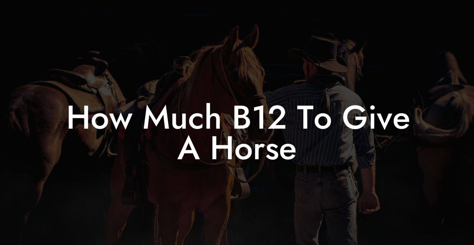 How Much B12 To Give A Horse - How To Own a Horse