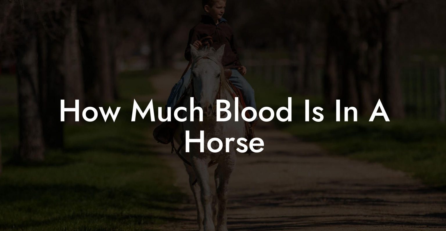 How Much Blood Is In A Horse - How To Own a Horse