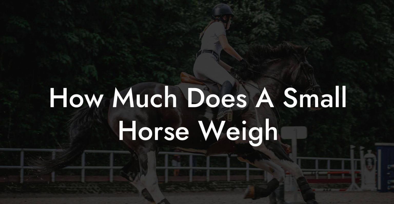 Horse Size For Rider Chart - How To Own a Horse