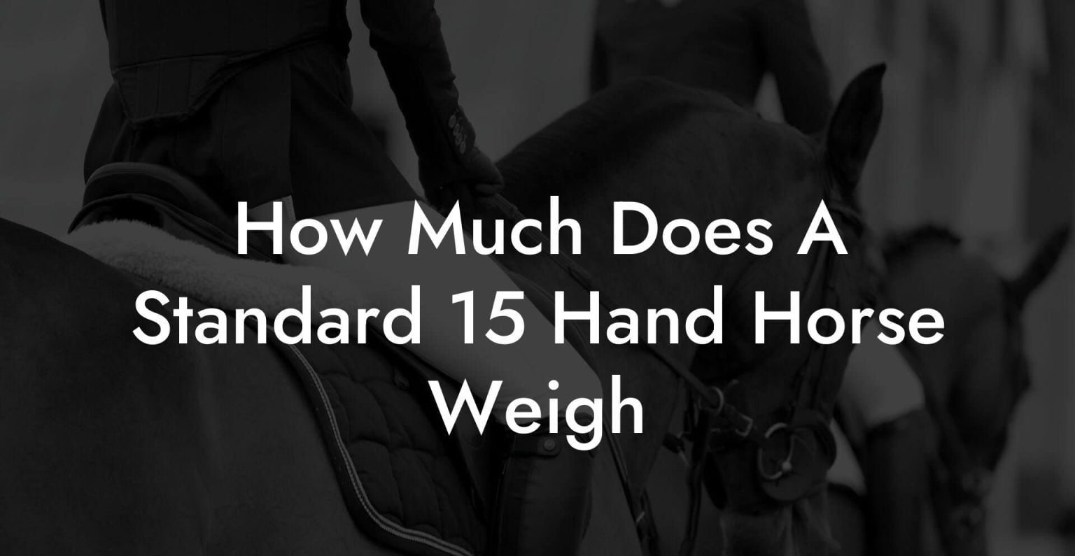 How Much Does A Standard 15 Hand Horse Weigh - How To Own a Horse