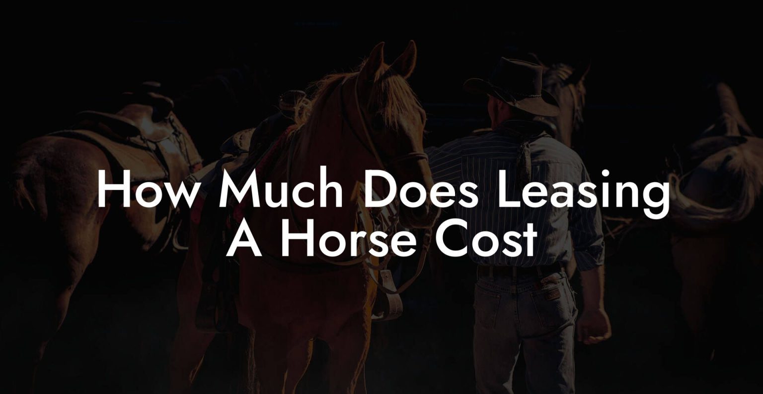 How Much Does Leasing A Horse Cost - How To Own a Horse How Much Does Leasing A Horse Cost - How To Own a Horse
