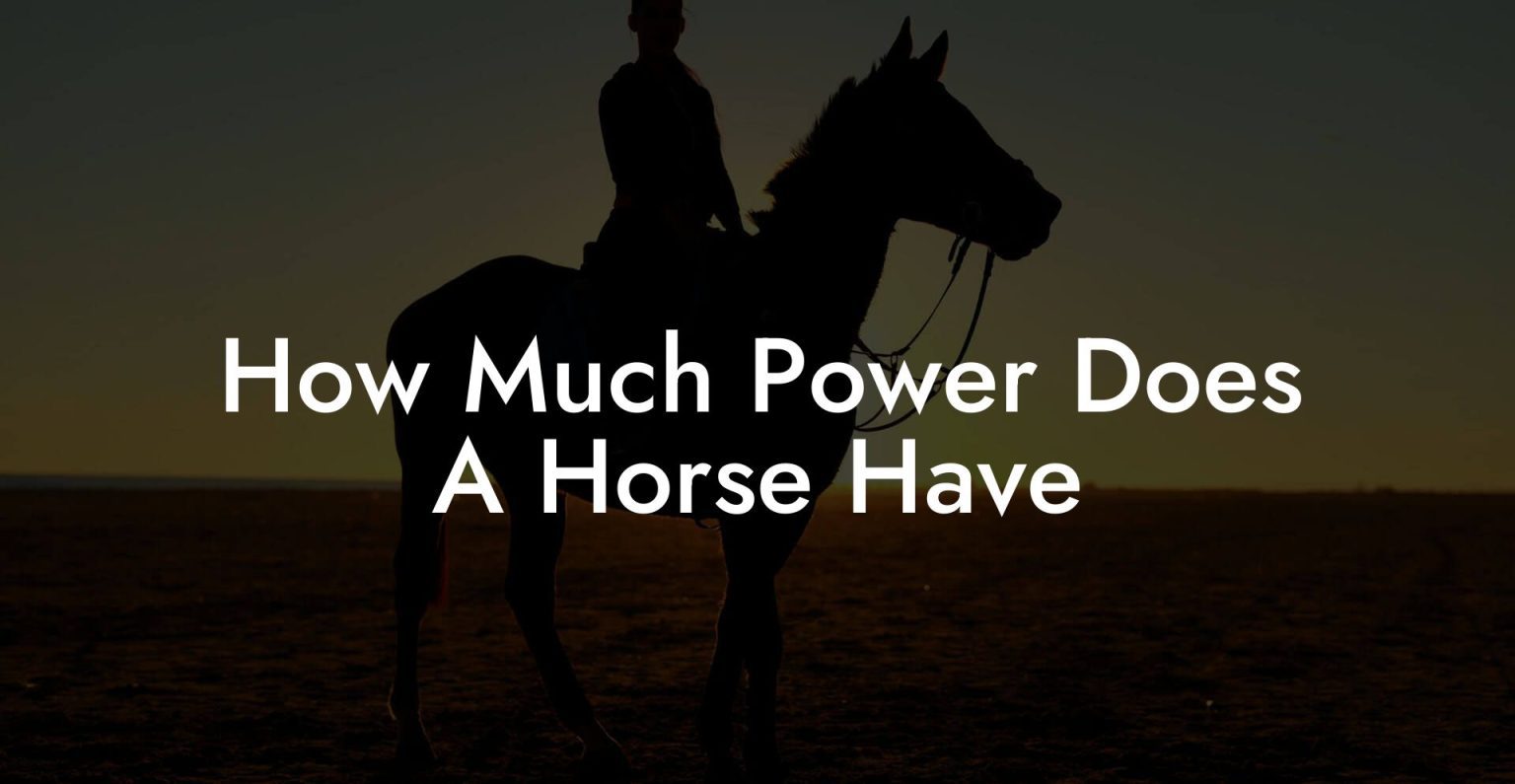 How Much Power Does A Horse Have - How To Own a Horse