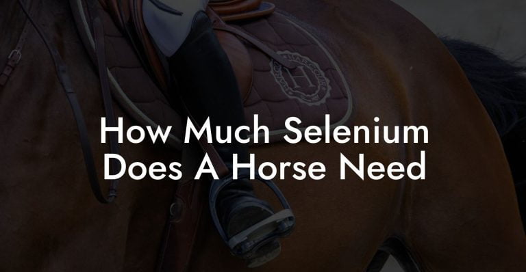 How Much Selenium Does A Horse Need - How To Own a Horse