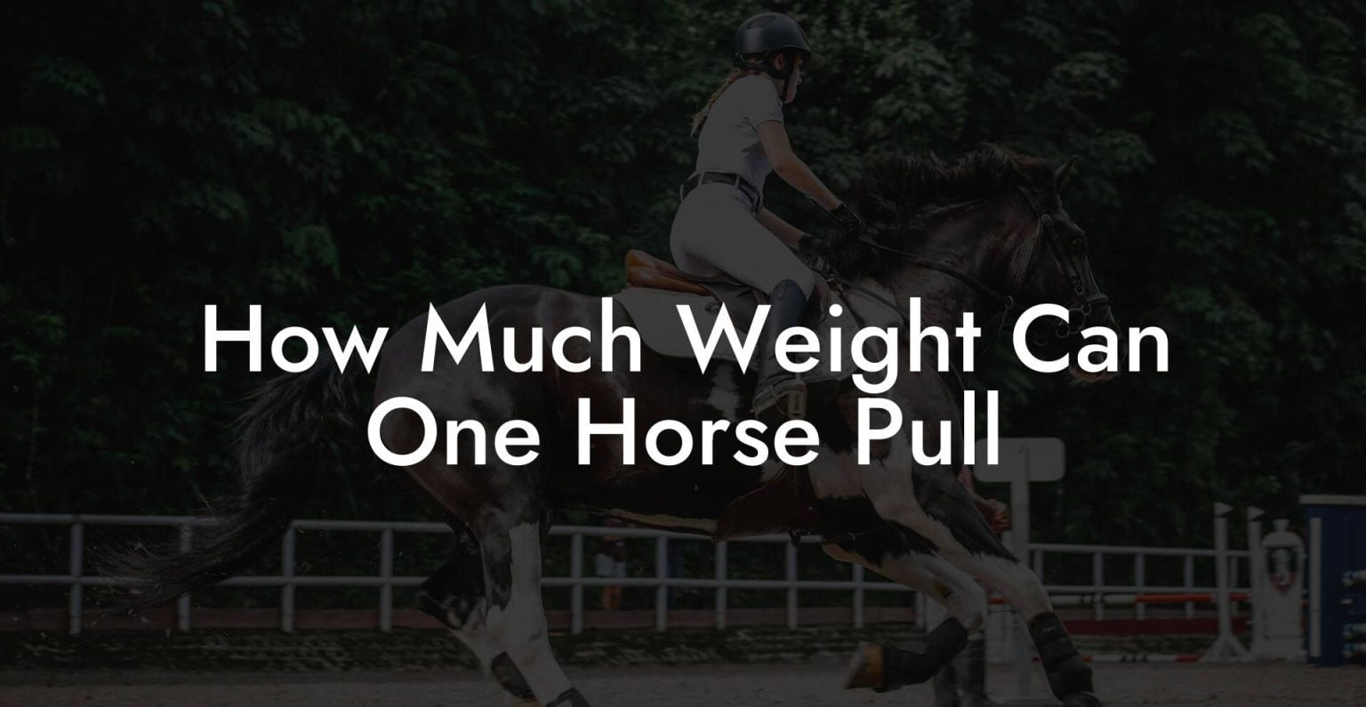 How Does The Horse In Chess Move - How To Own a Horse