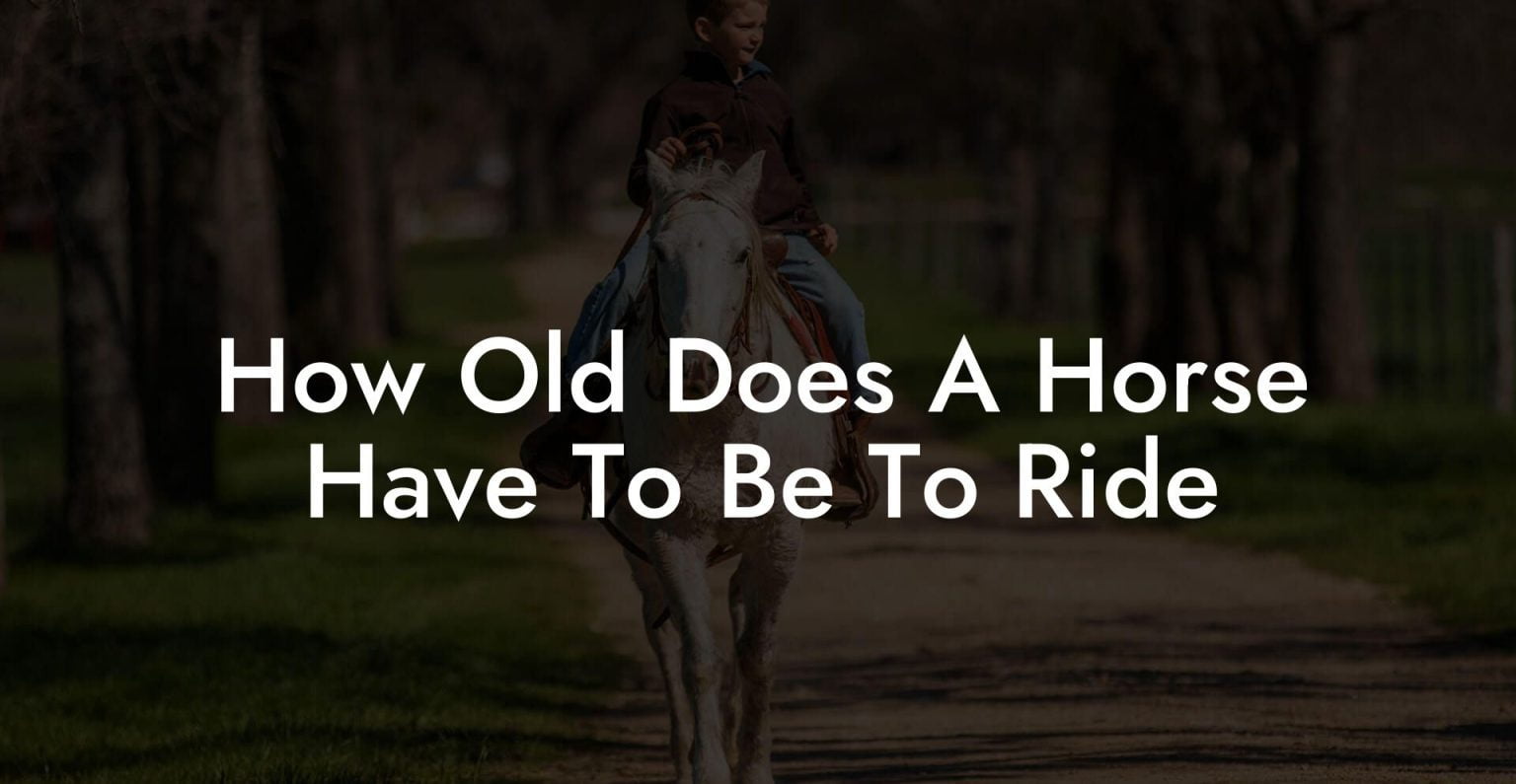 The Complete Guide To Owning Horses - How To Own a Horse