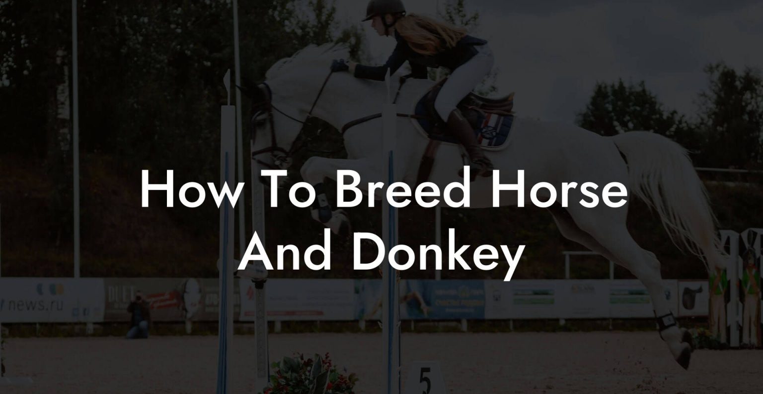 Raising Horses For Beginners - How To Own a Horse