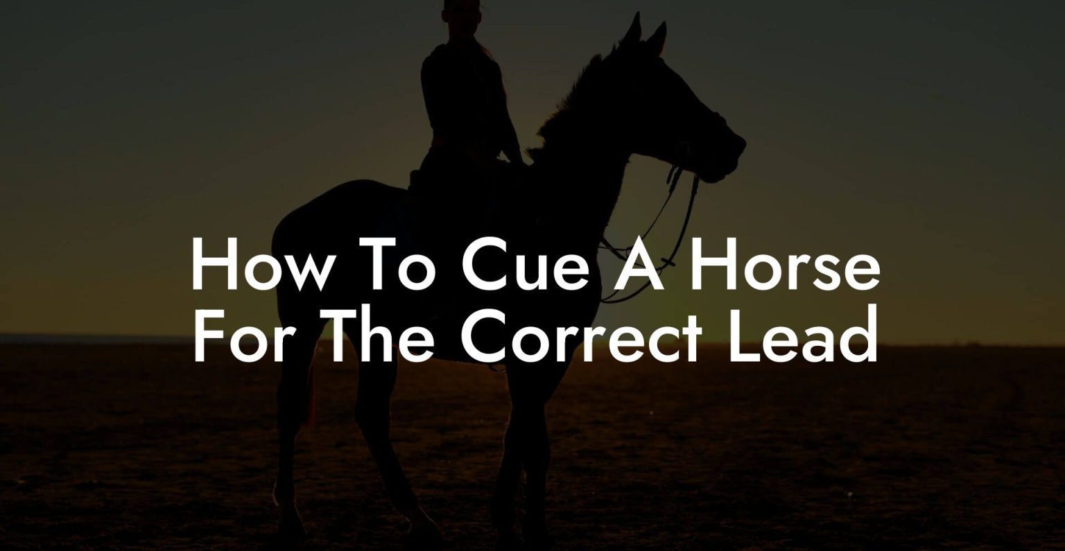 What Is A Horse Stable - How To Own a Horse