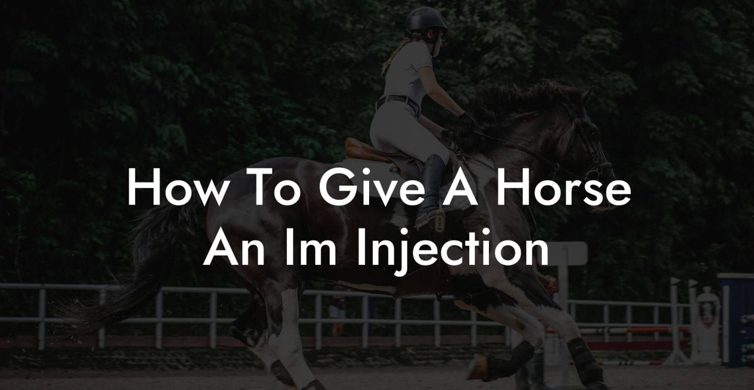 How To Give A Horse An Im Injection - How To Own a Horse