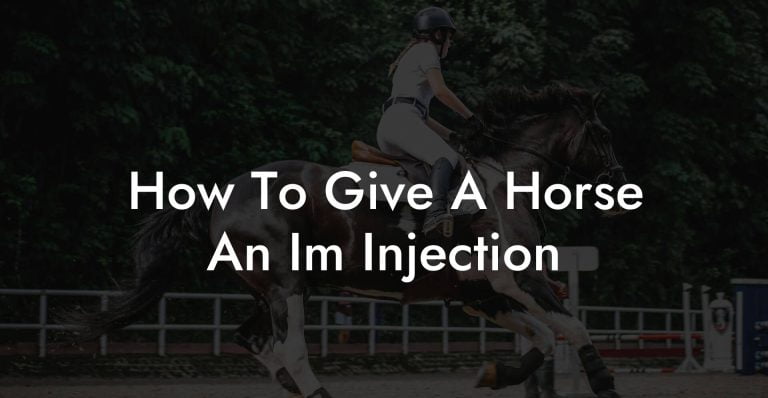How To Give A Horse An Im Injection - How To Own a Horse