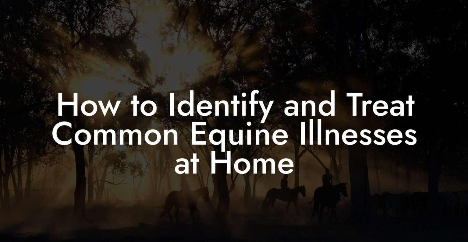 How to Identify and Treat Common Equine Illnesses at Home - How To Own ...