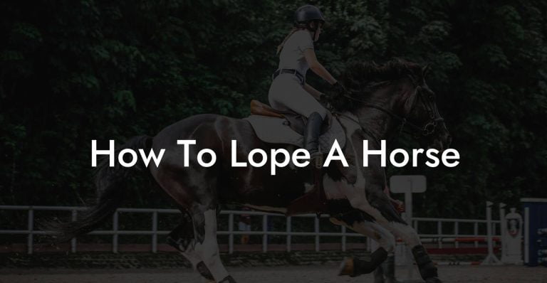 How To Lope A Horse - How To Own a Horse