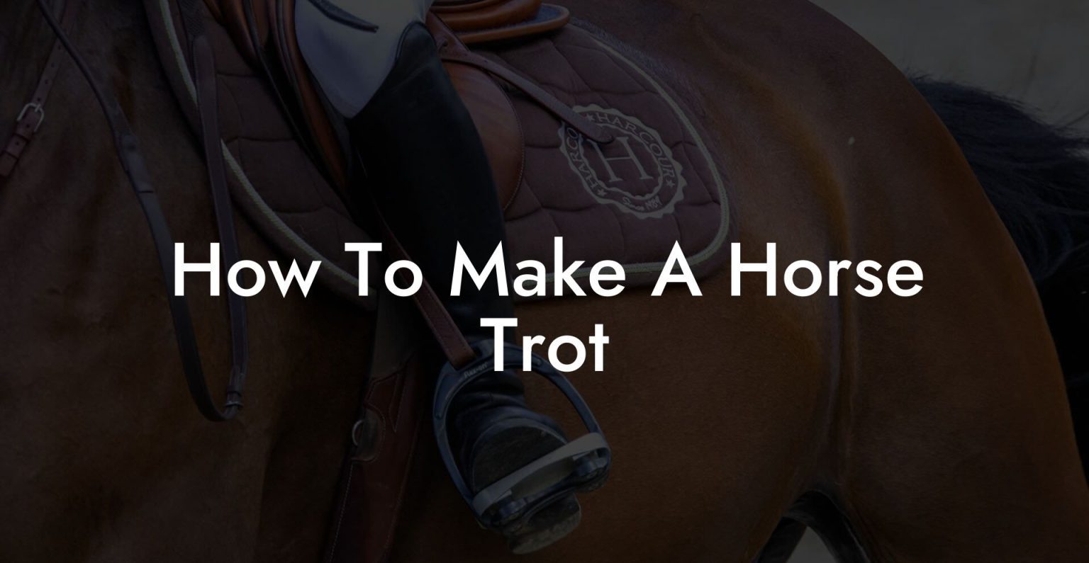 The Complete Guide To Owning Horses - How To Own a Horse