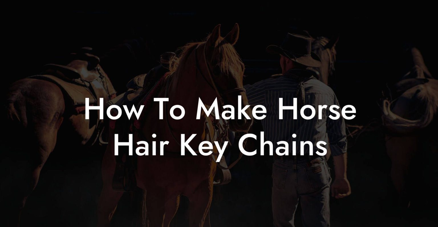 How To Train A Horse For Beginners - How To Own a Horse