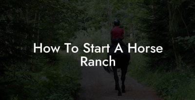 How To Start A Horse Ranch - How To Own a Horse