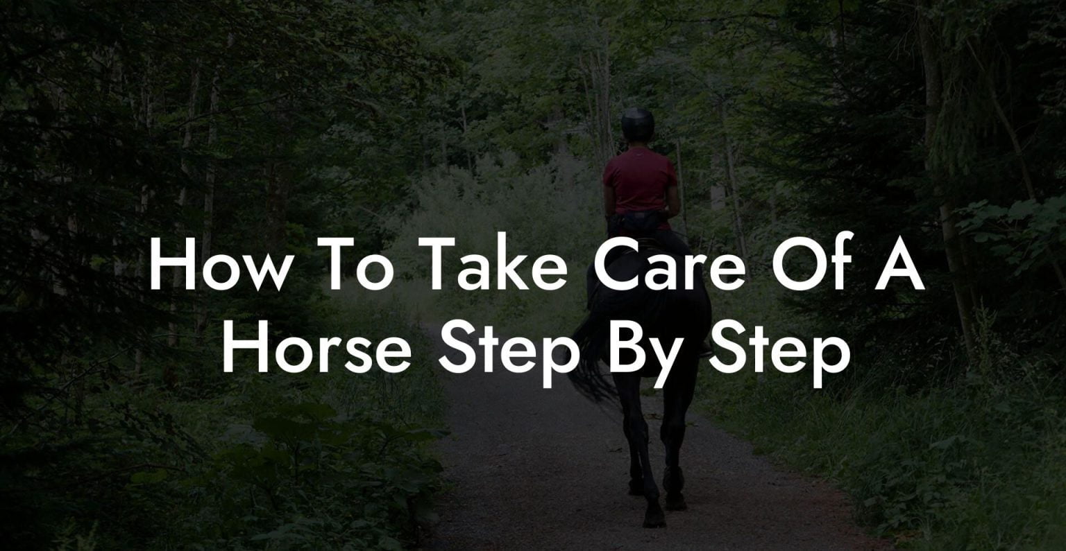 How To Take Care Of A Horse Step By Step - How To Own a Horse