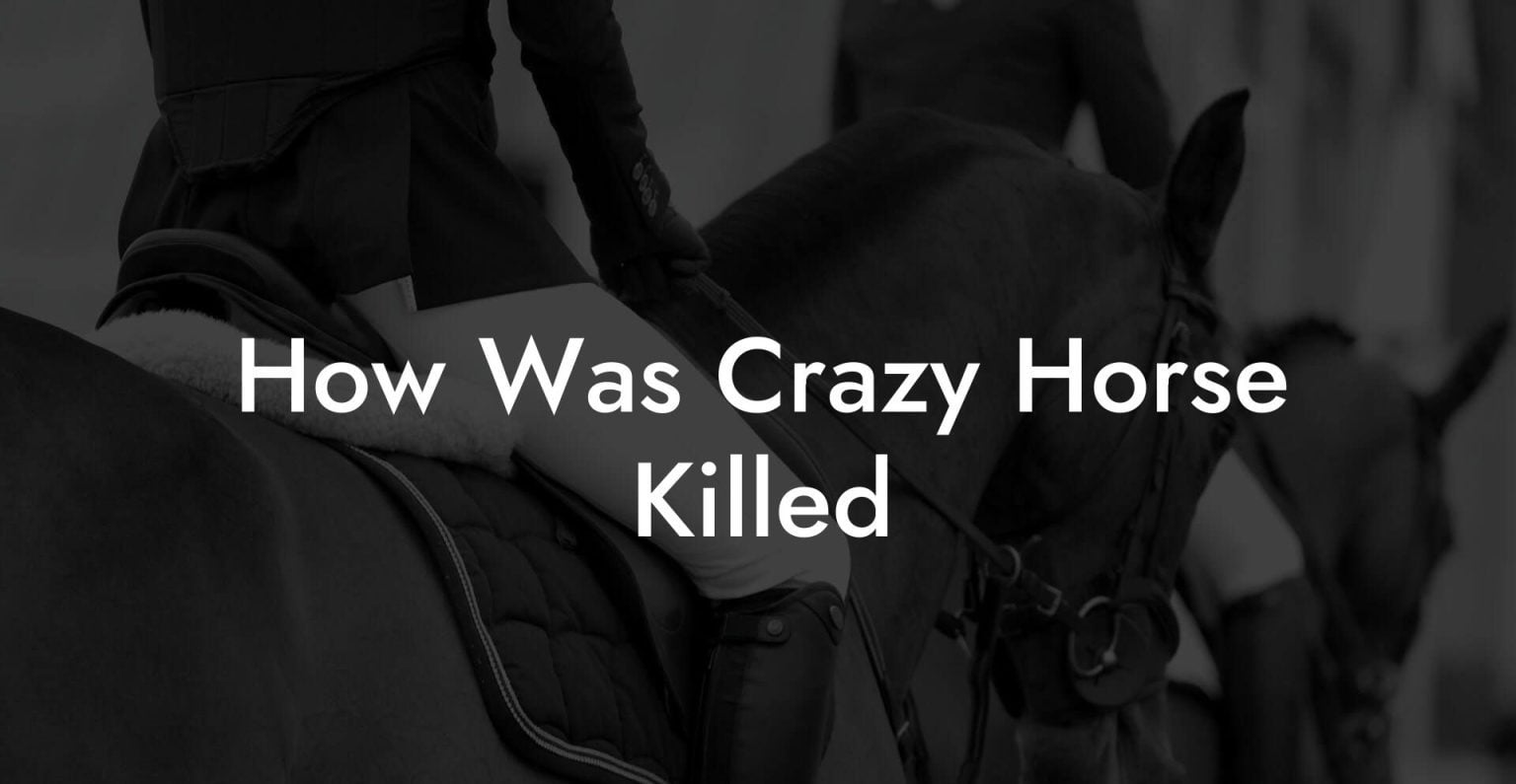How Was Crazy Horse Killed - How To Own a Horse