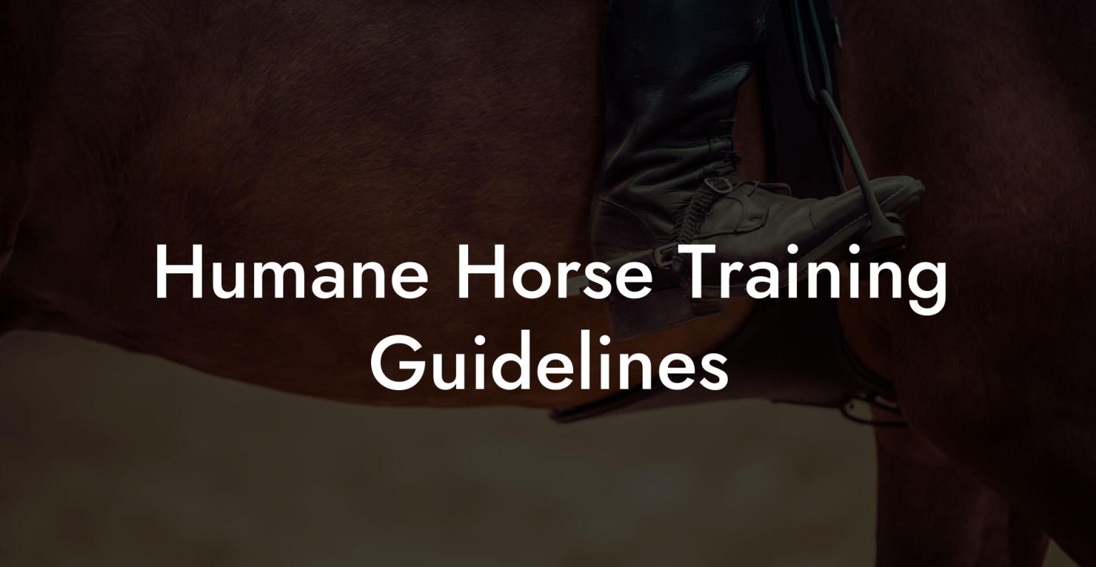 Humane Horse Training Guidelines - How To Own a Horse