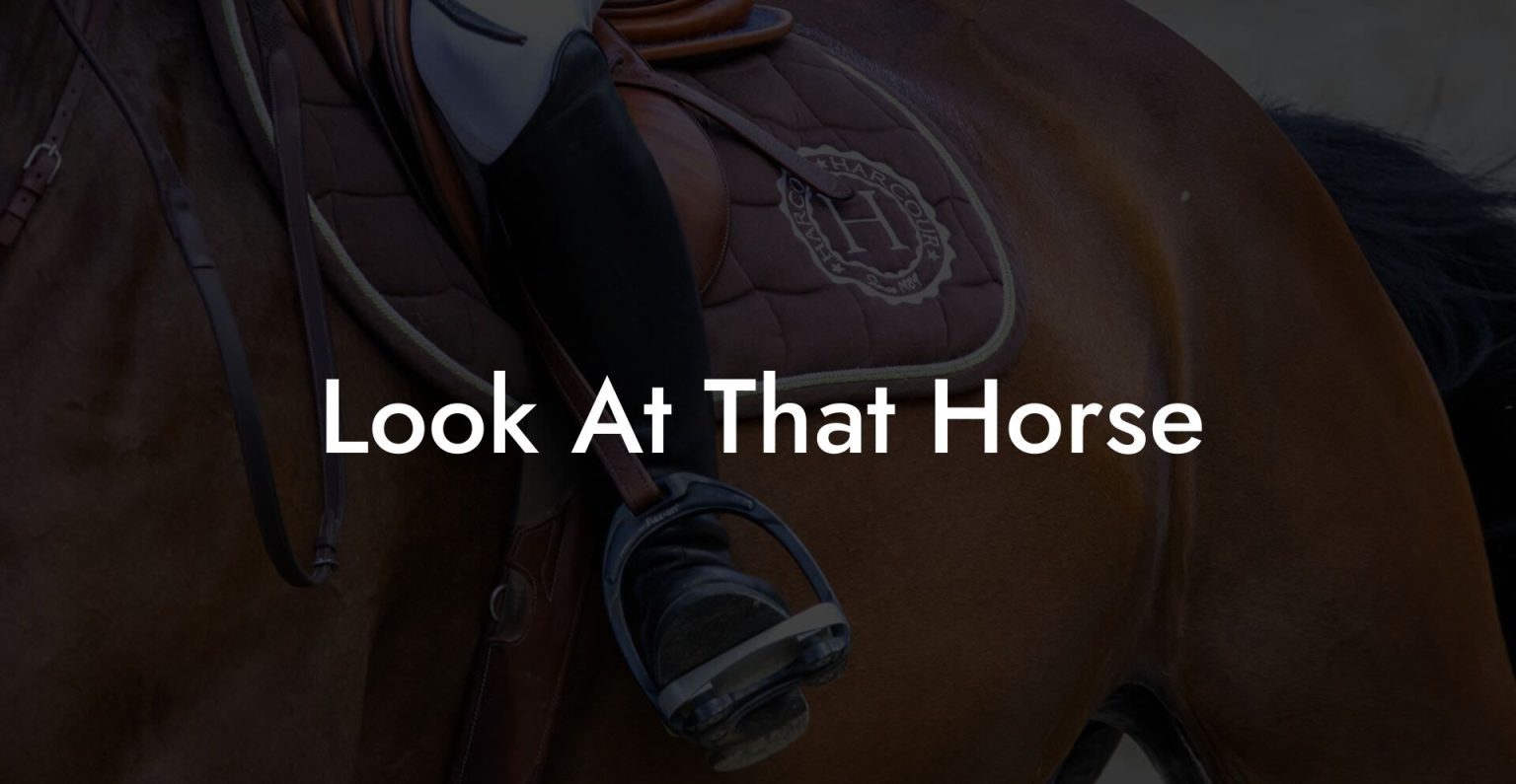 What Is A Horse Corral - How To Own a Horse