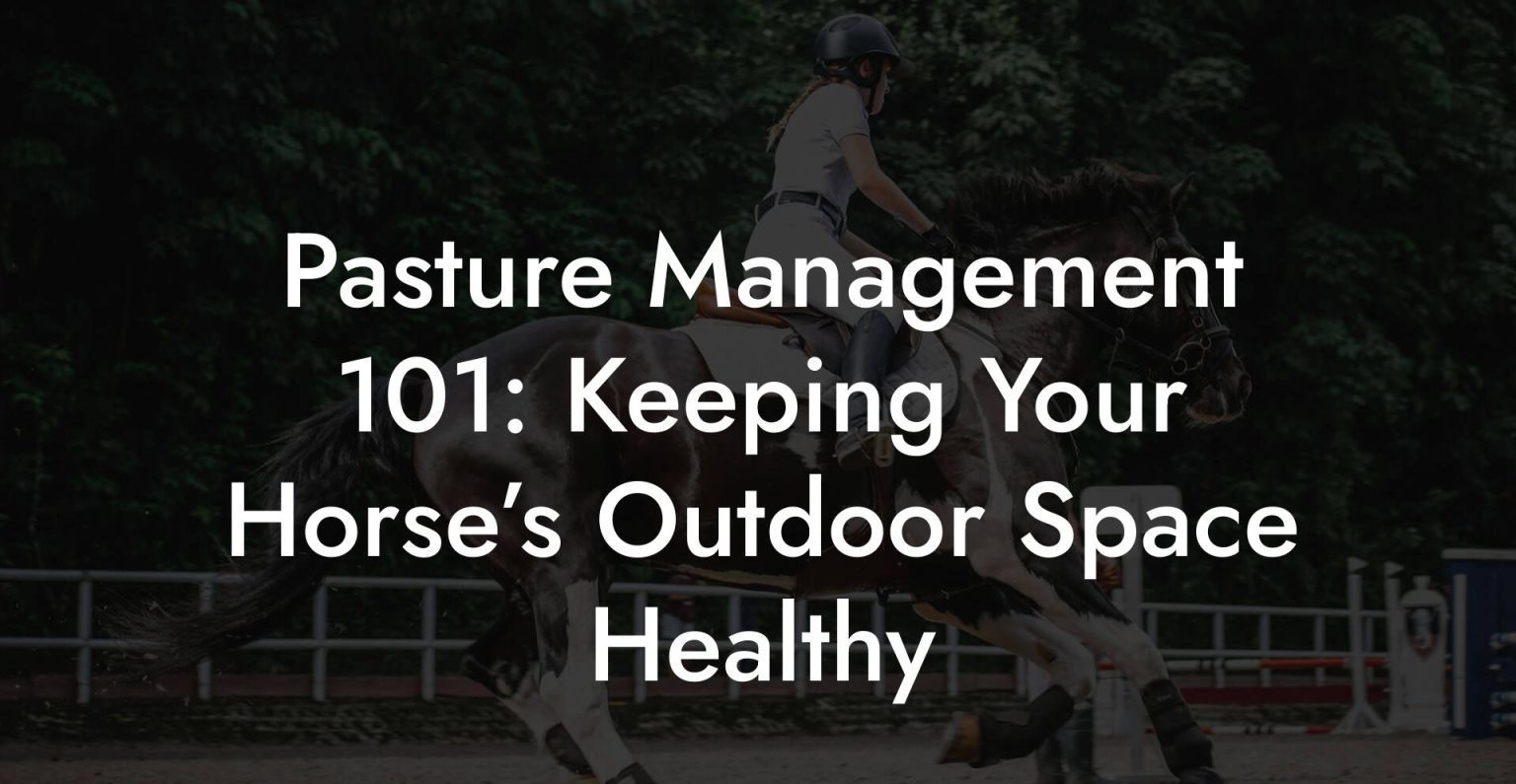 Pasture Management 101: Keeping Your Horse’s Outdoor Space Healthy ...