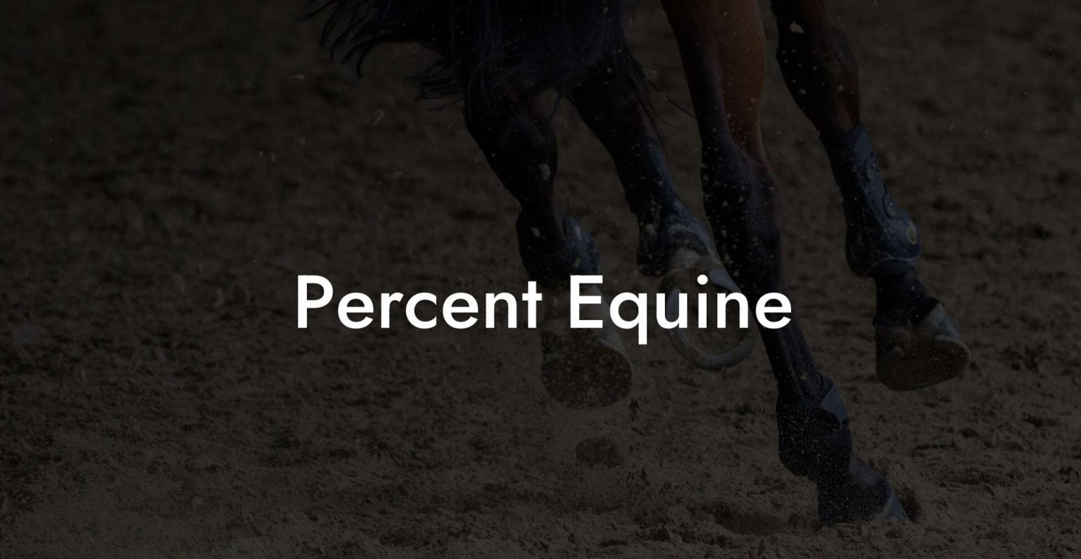 How To Lope A Horse - How To Own a Horse