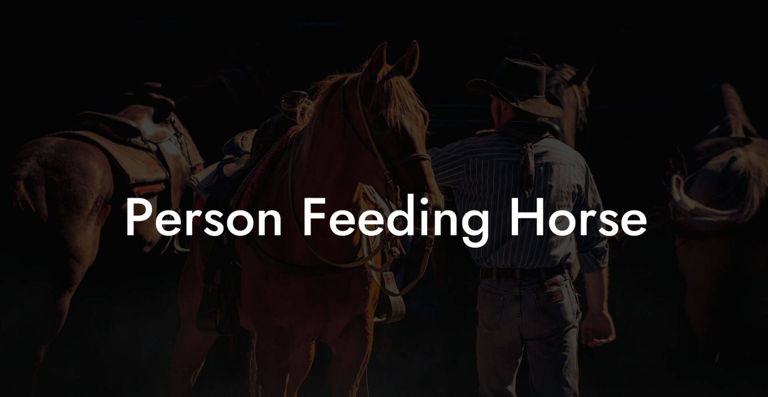 How To Lope A Horse - How To Own a Horse