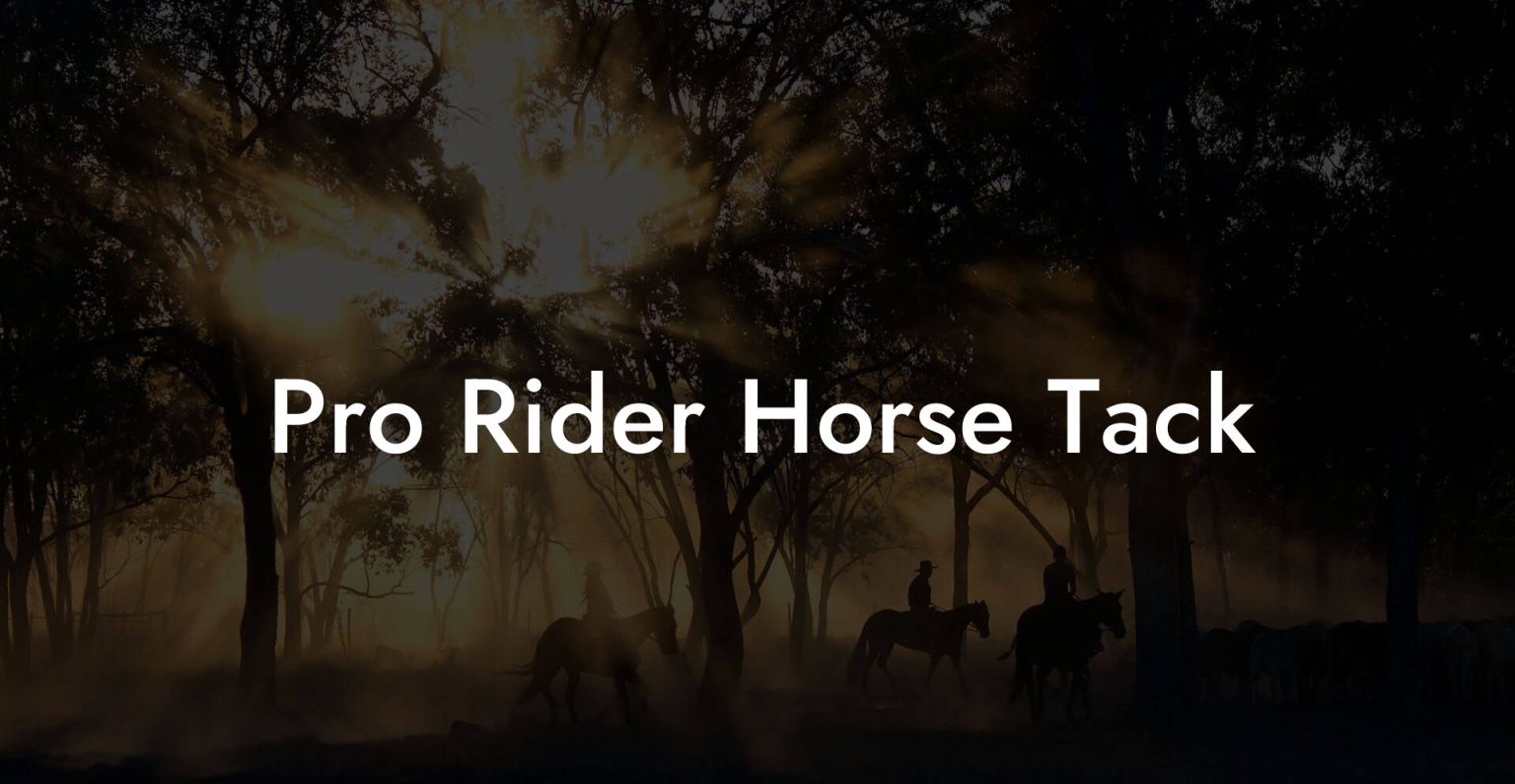 Pro Rider Horse Tack - How To Own a Horse