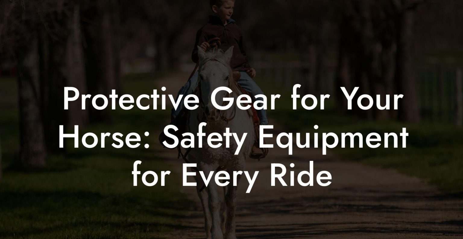 The Ultimate Horse Equipment Guide: Must-Have Gear for Every Rider ...