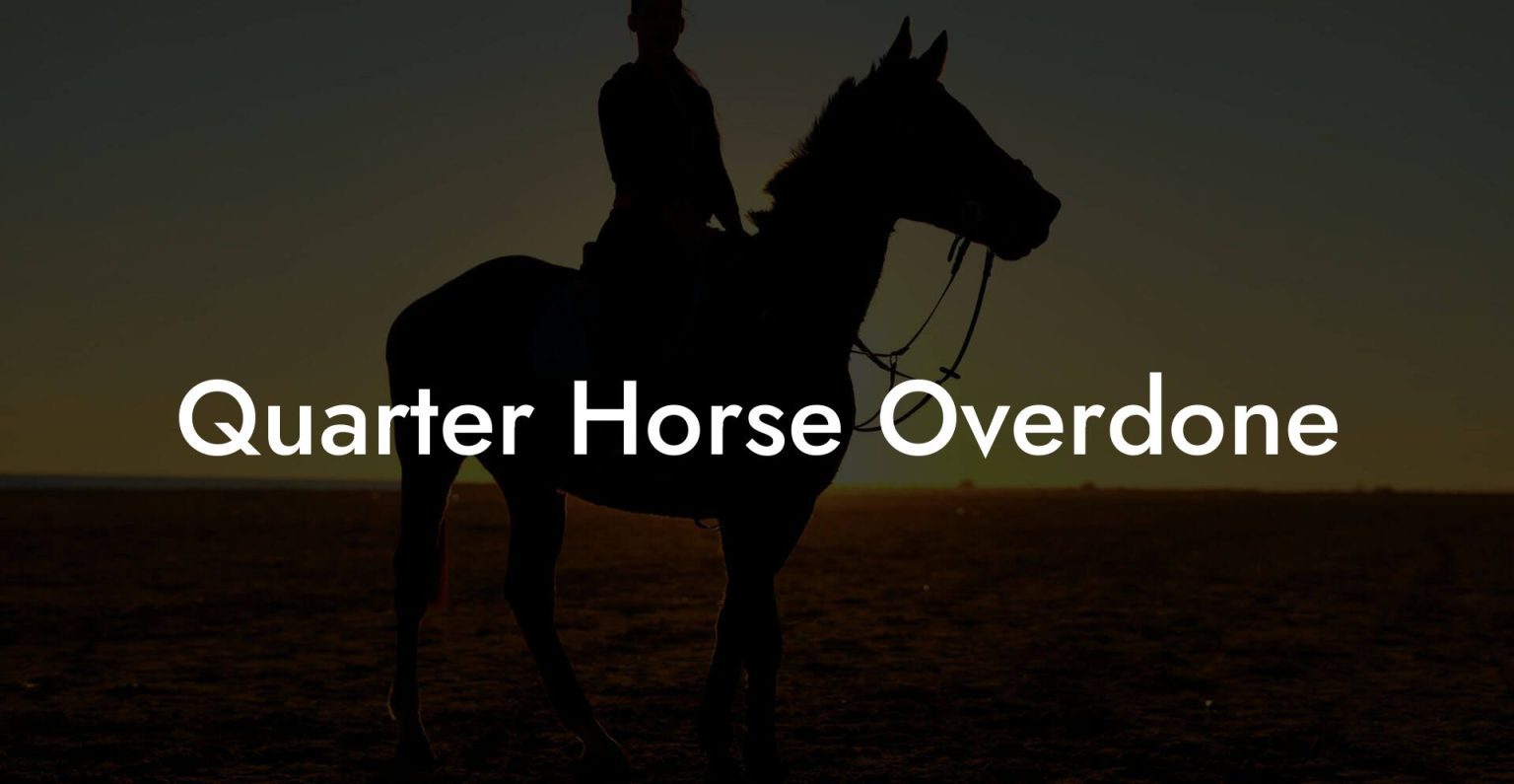 Quarter Horse Overdone - How To Own a Horse