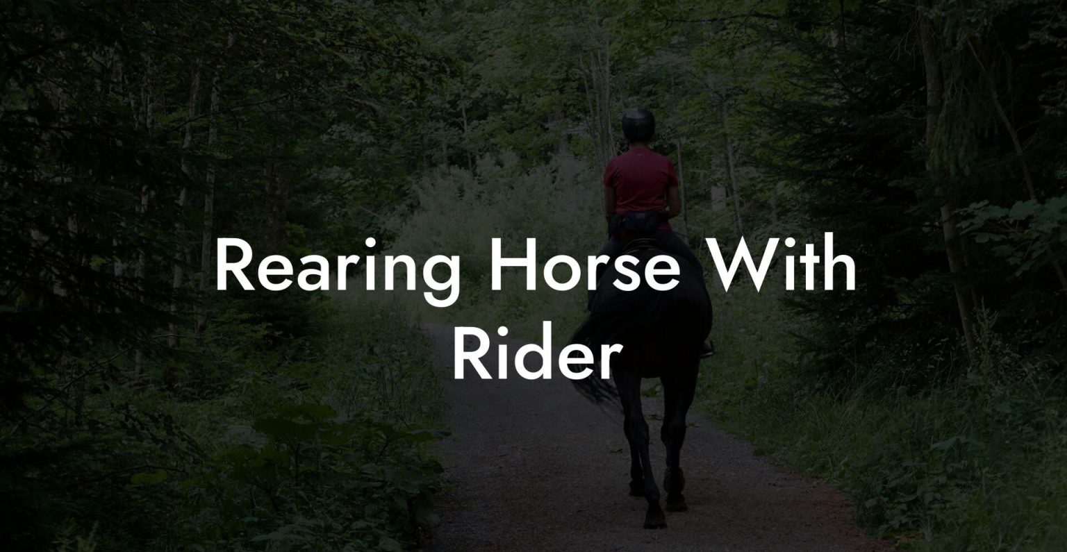 Rearing Horse With Rider - How To Own a Horse