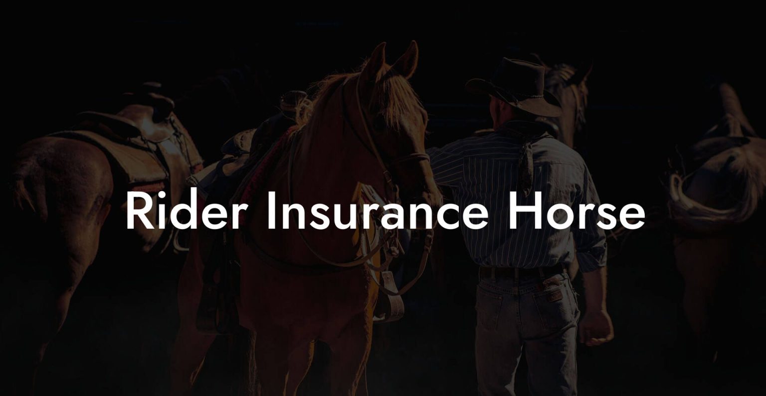 Rider Insurance Horse - How To Own a Horse