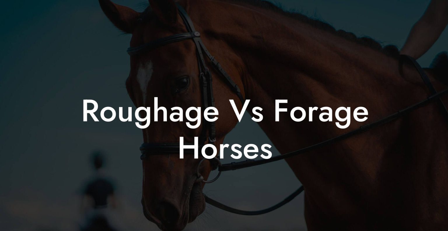 Roughage Vs Forage Horses - How To Own a Horse