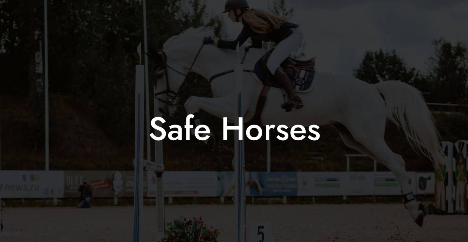 How Does A Horse Look Like - How To Own a Horse