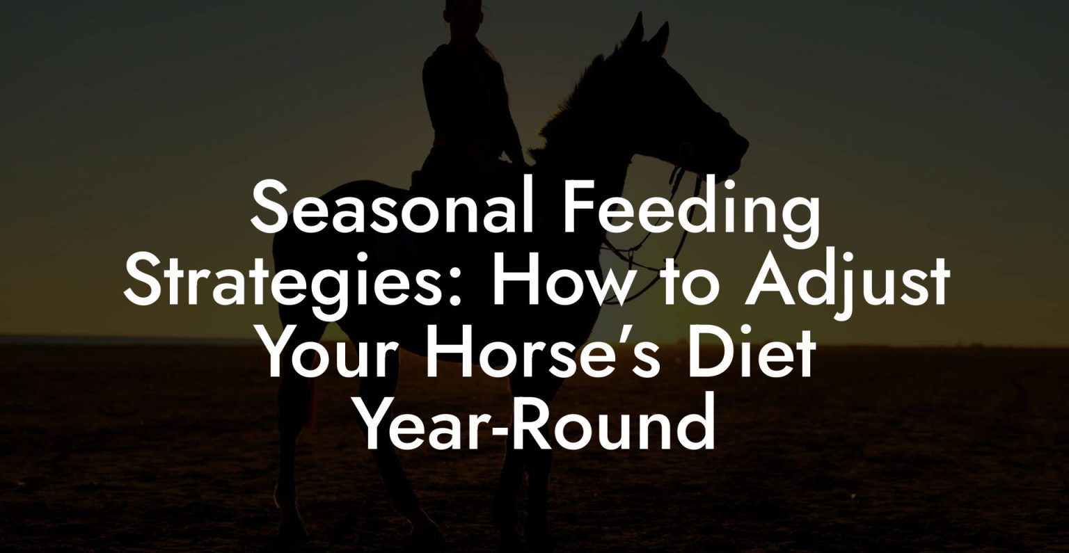 Seasonal Feeding Strategies: How to Adjust Your Horse’s Diet Year-Round - How To Own a Horse