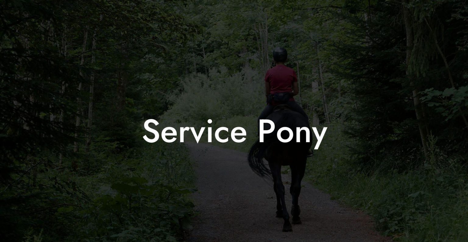 Service Pony - How To Own a Horse