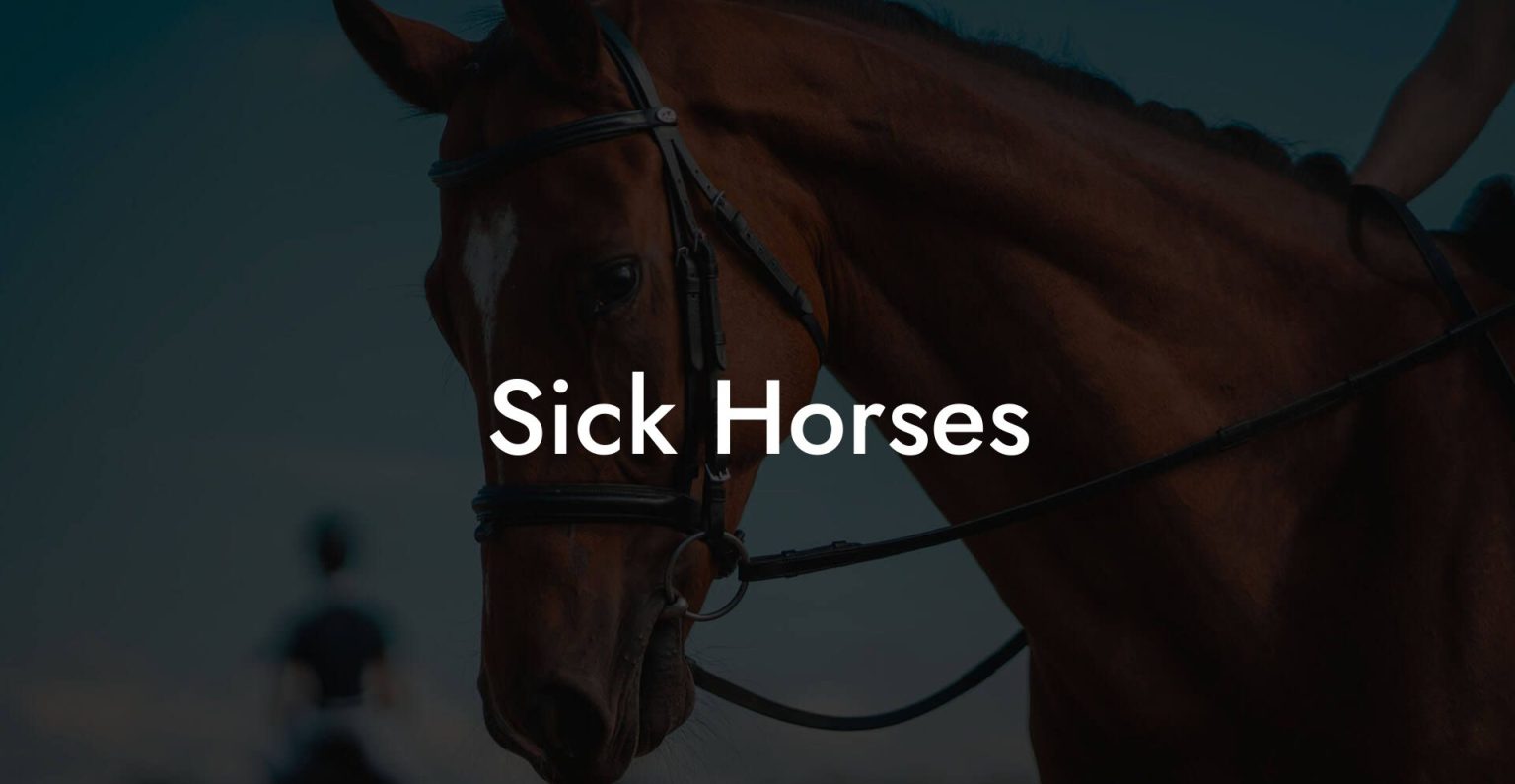 Sick Horses - How To Own a Horse