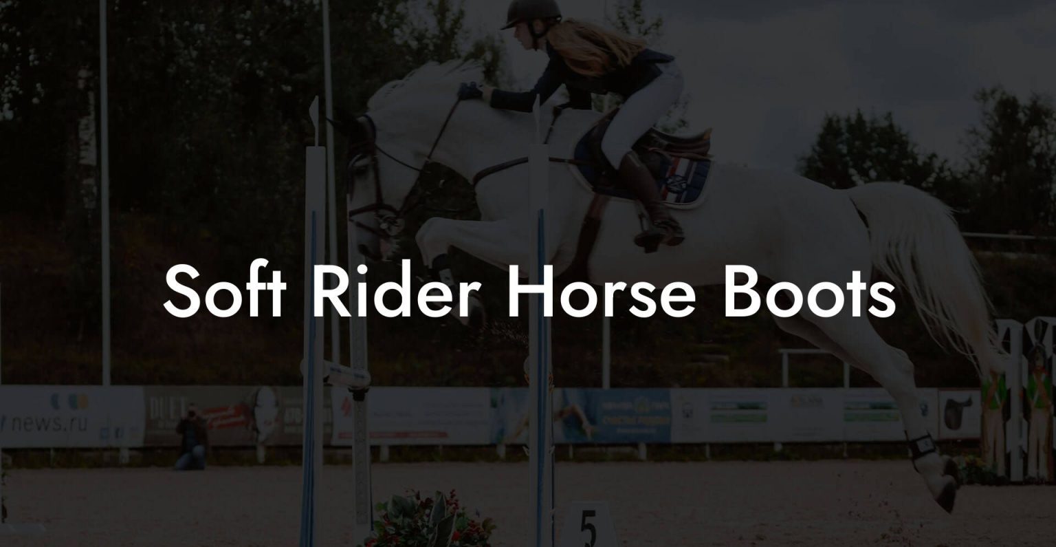 How To Ride A Horse Properly - How To Own a Horse