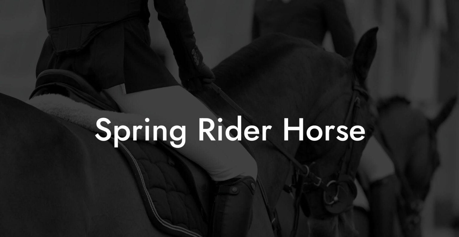 Spring Rider Horse - How To Own a Horse