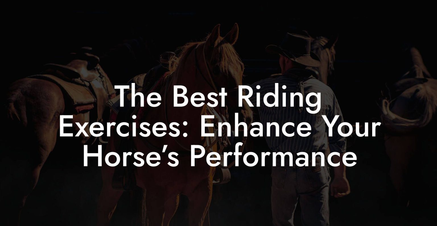The Best Riding Exercises: Enhance Your Horse’s Performance - How To ...